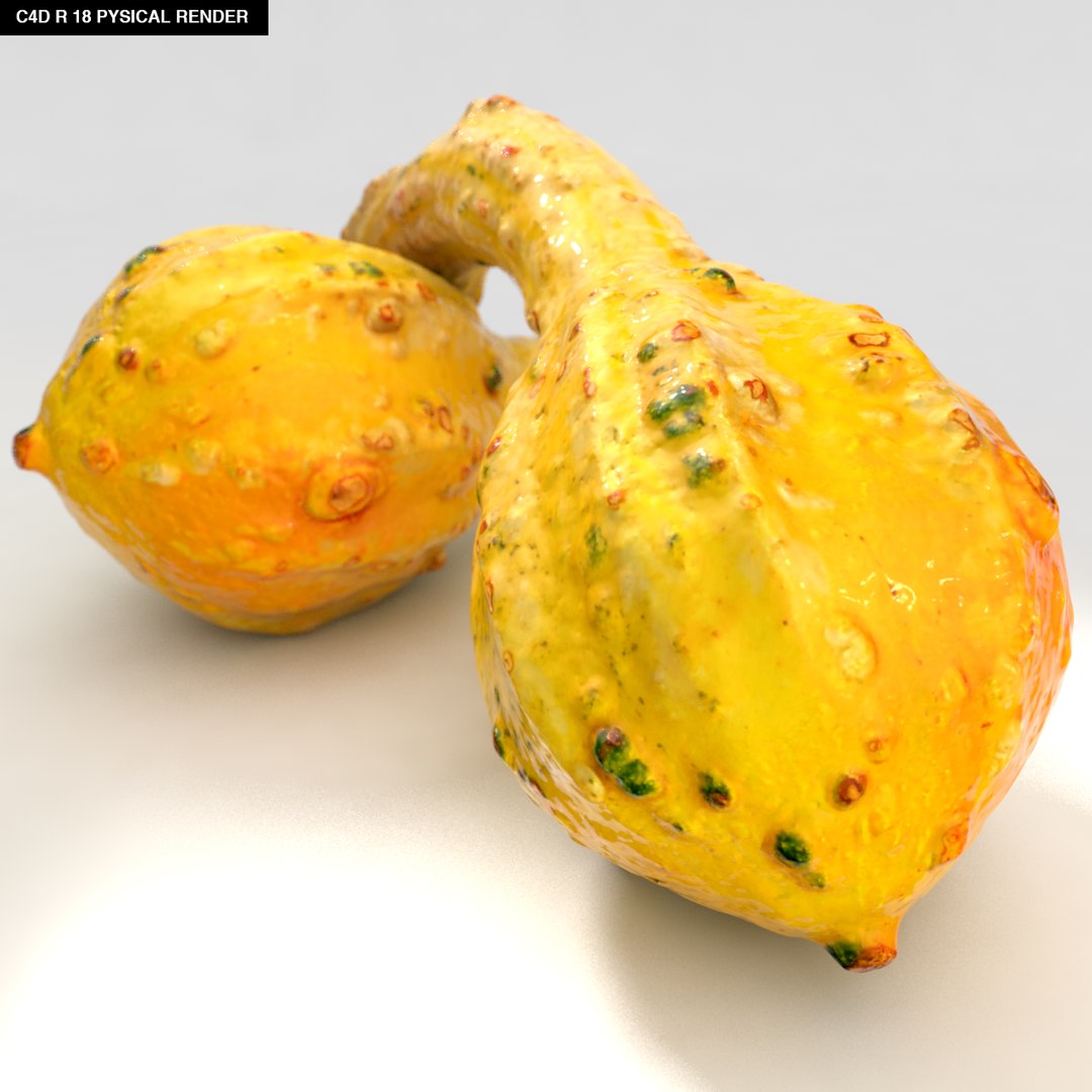 Gourde Fall Cornucopia 3D - TurboSquid 1343351