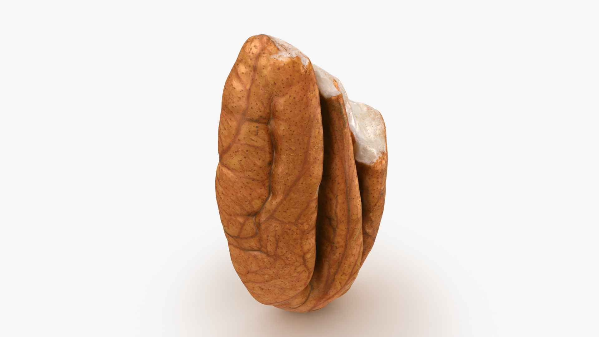 3D Pecan Nut Cut - TurboSquid 1956269