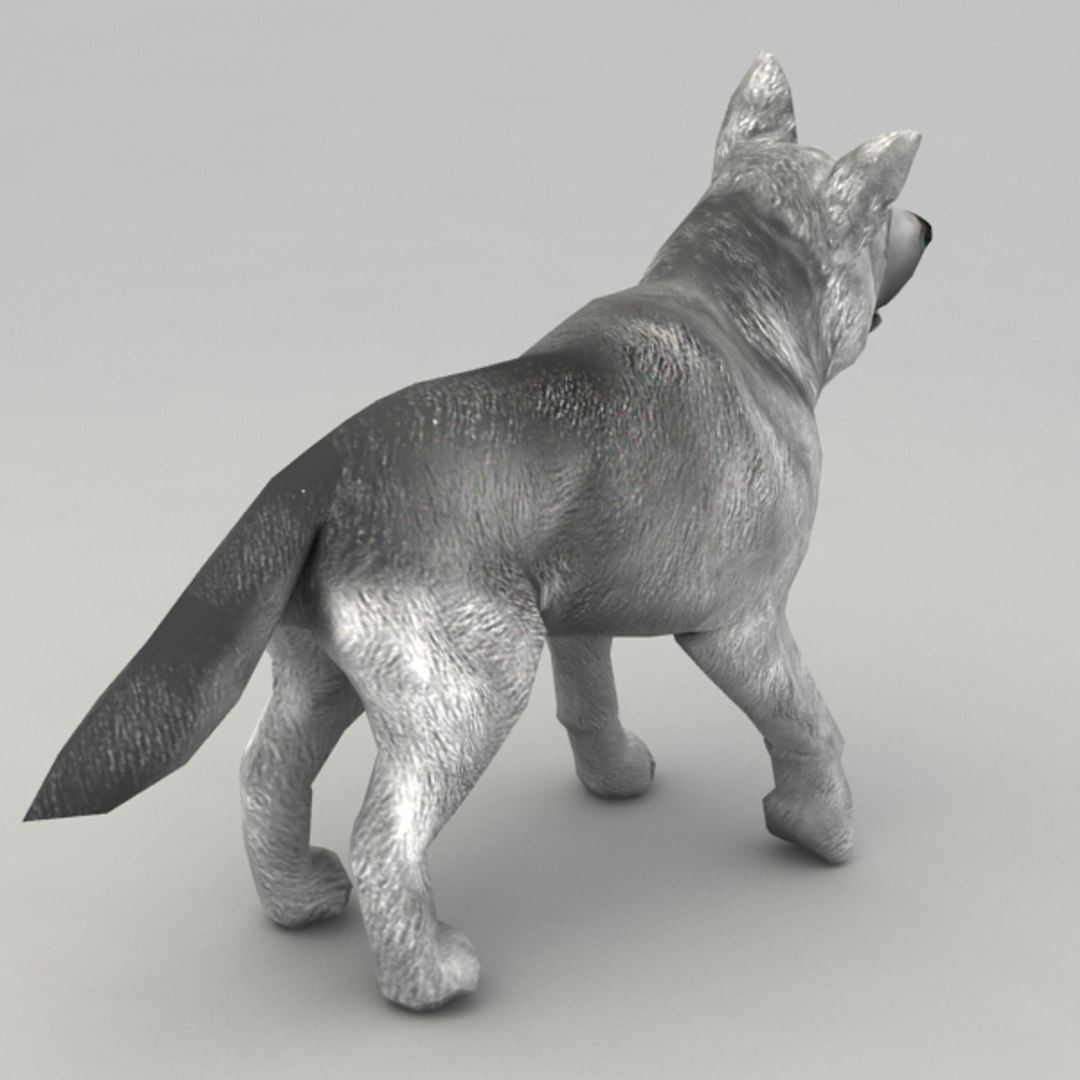 3d Wolf Pup Model