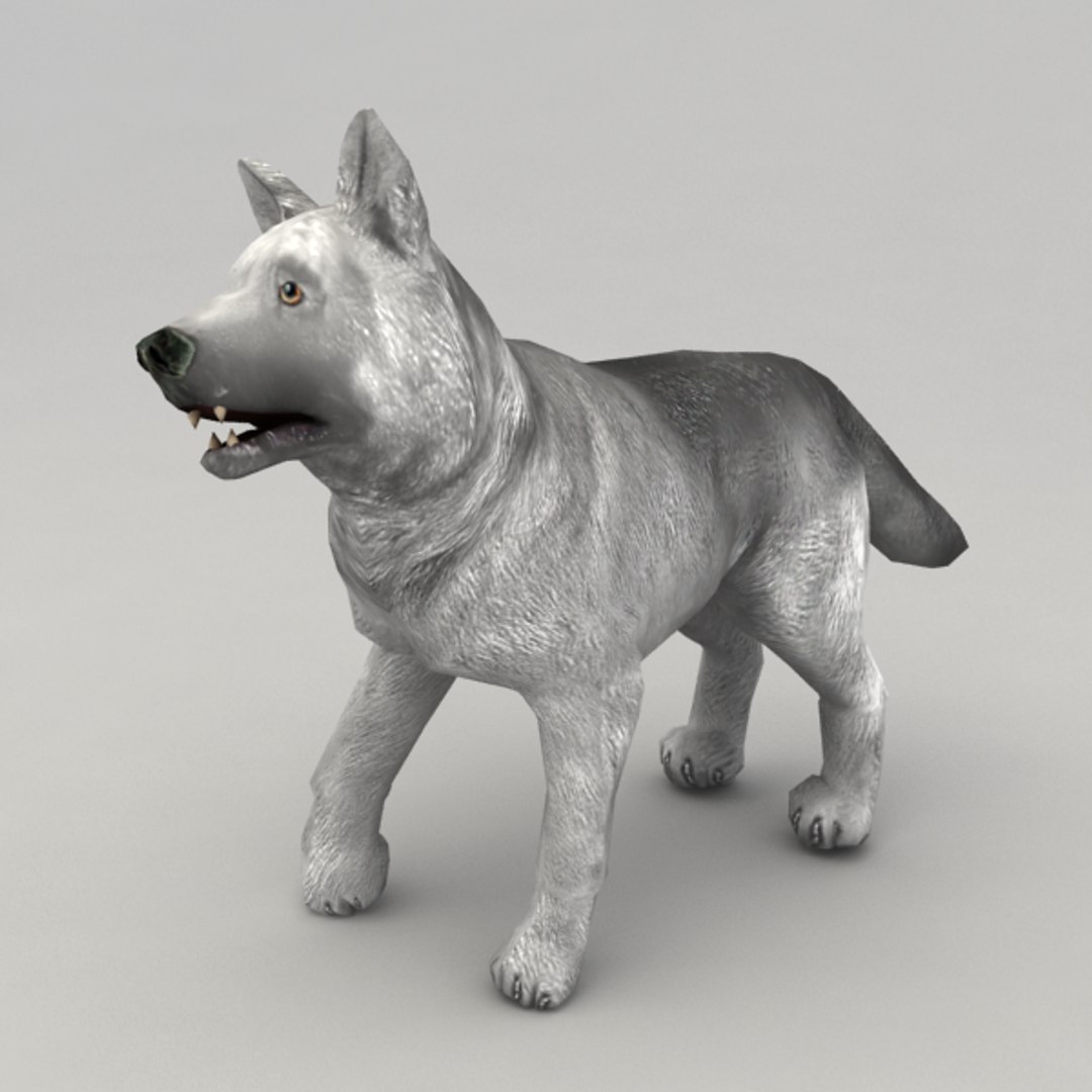 3d Wolf Pup Model