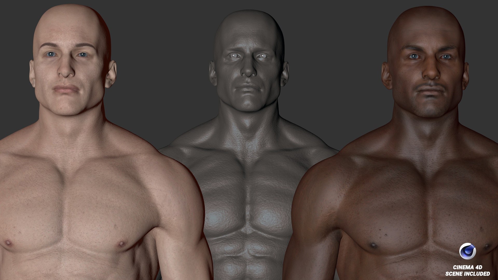 Male Basemesh - Clean Topology Base Mesh With Detailed Skin Render 3D ...