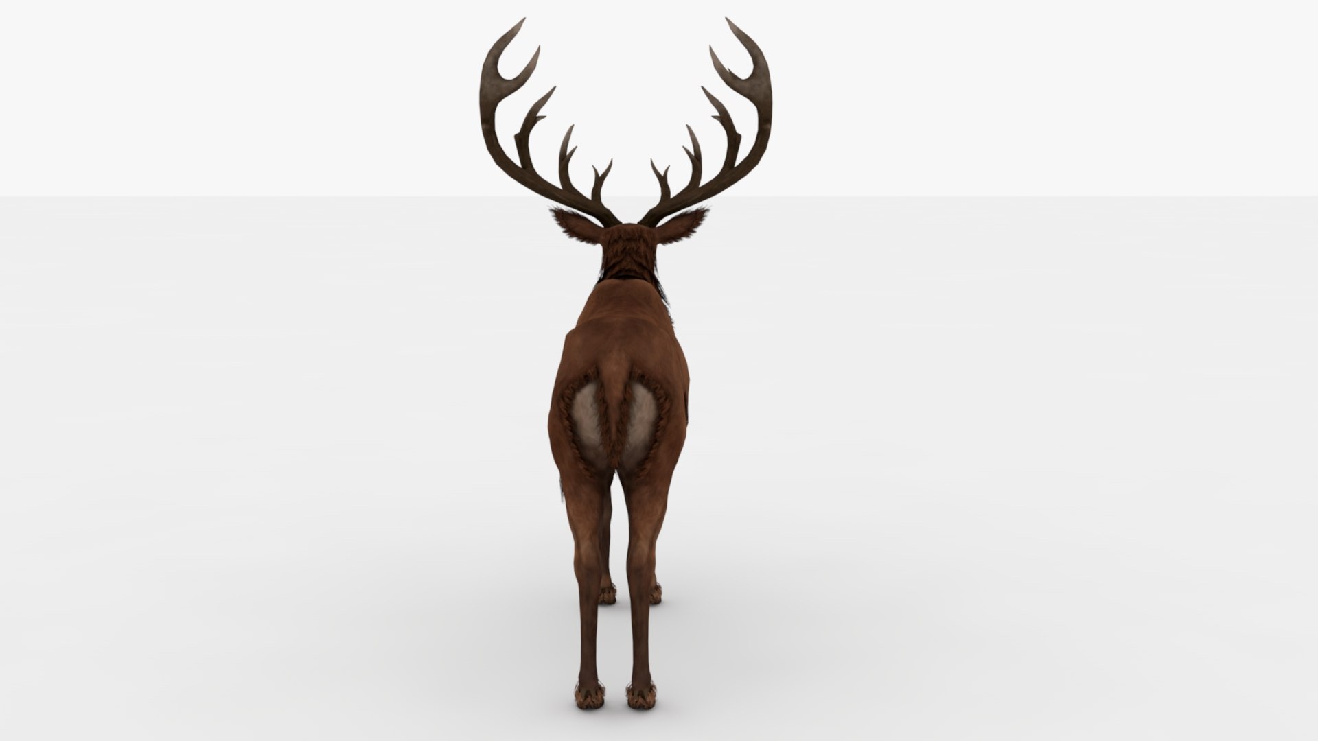 Buck 3D Model - TurboSquid 2348756