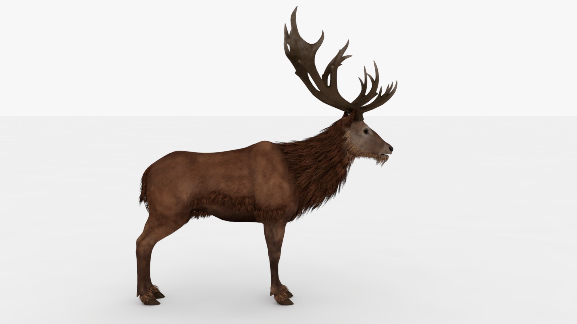 Buck 3D Model - TurboSquid 2348756