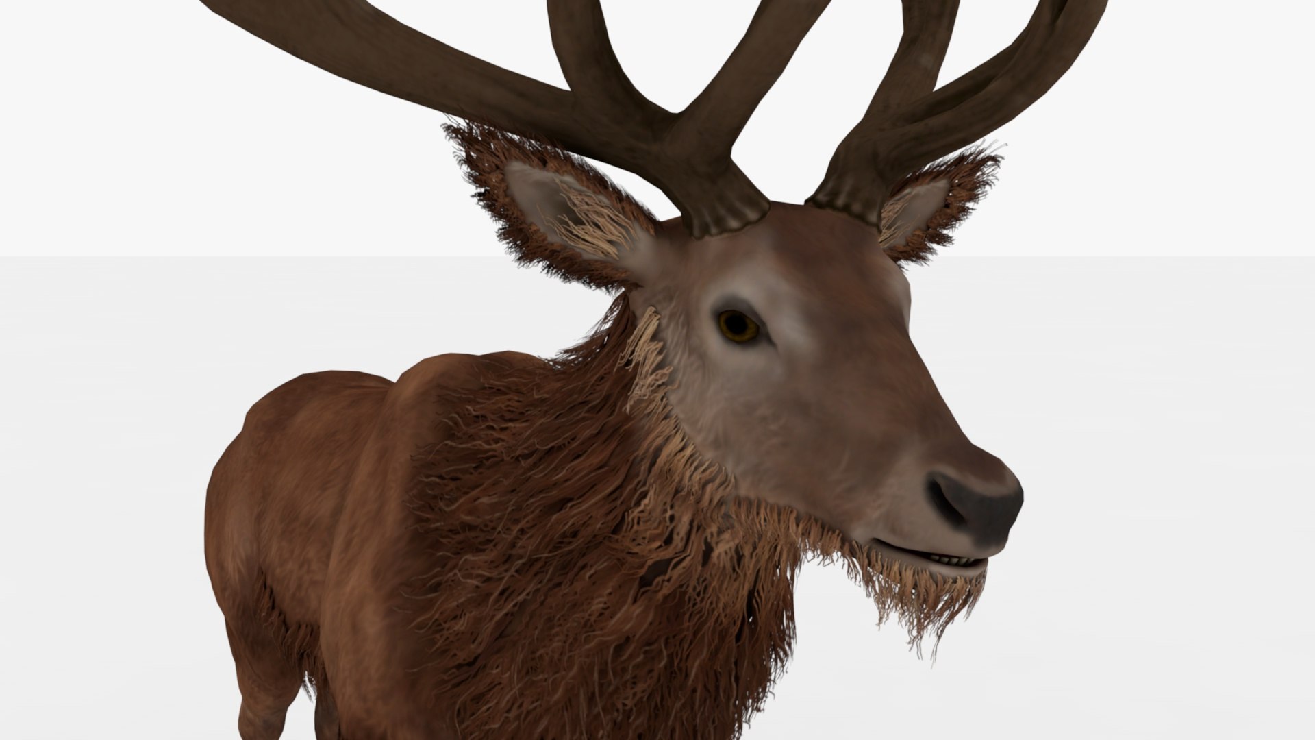 Buck 3D Model - TurboSquid 2348756