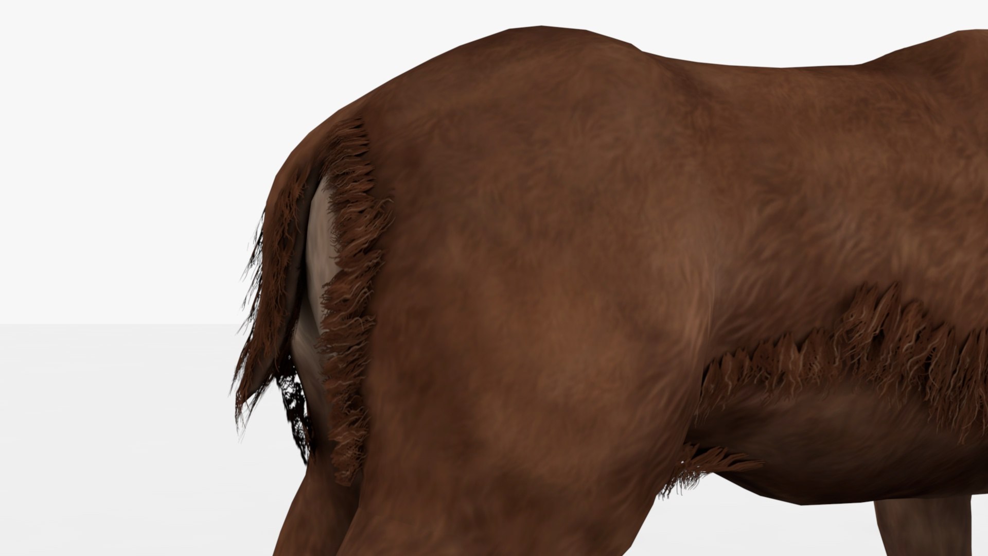 Buck 3D Model - TurboSquid 2348756