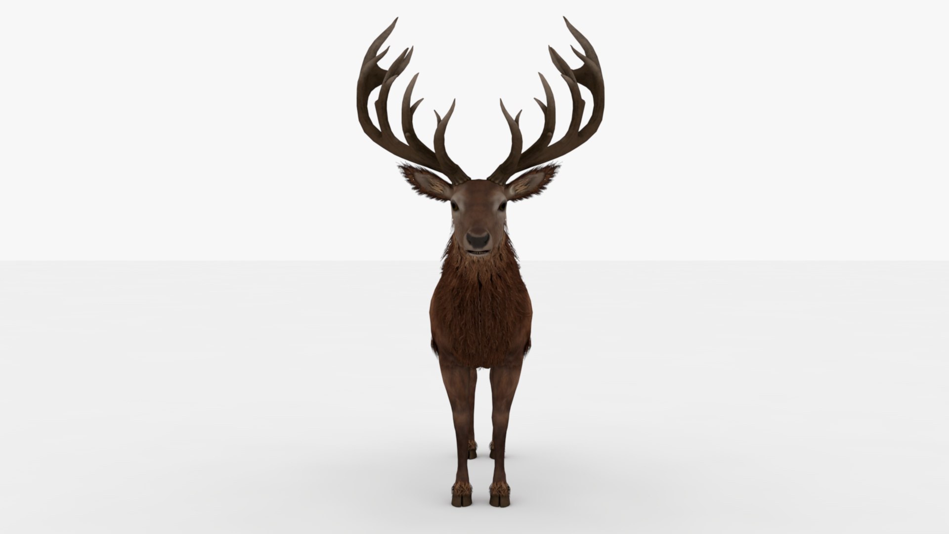 Buck 3D Model - TurboSquid 2348756