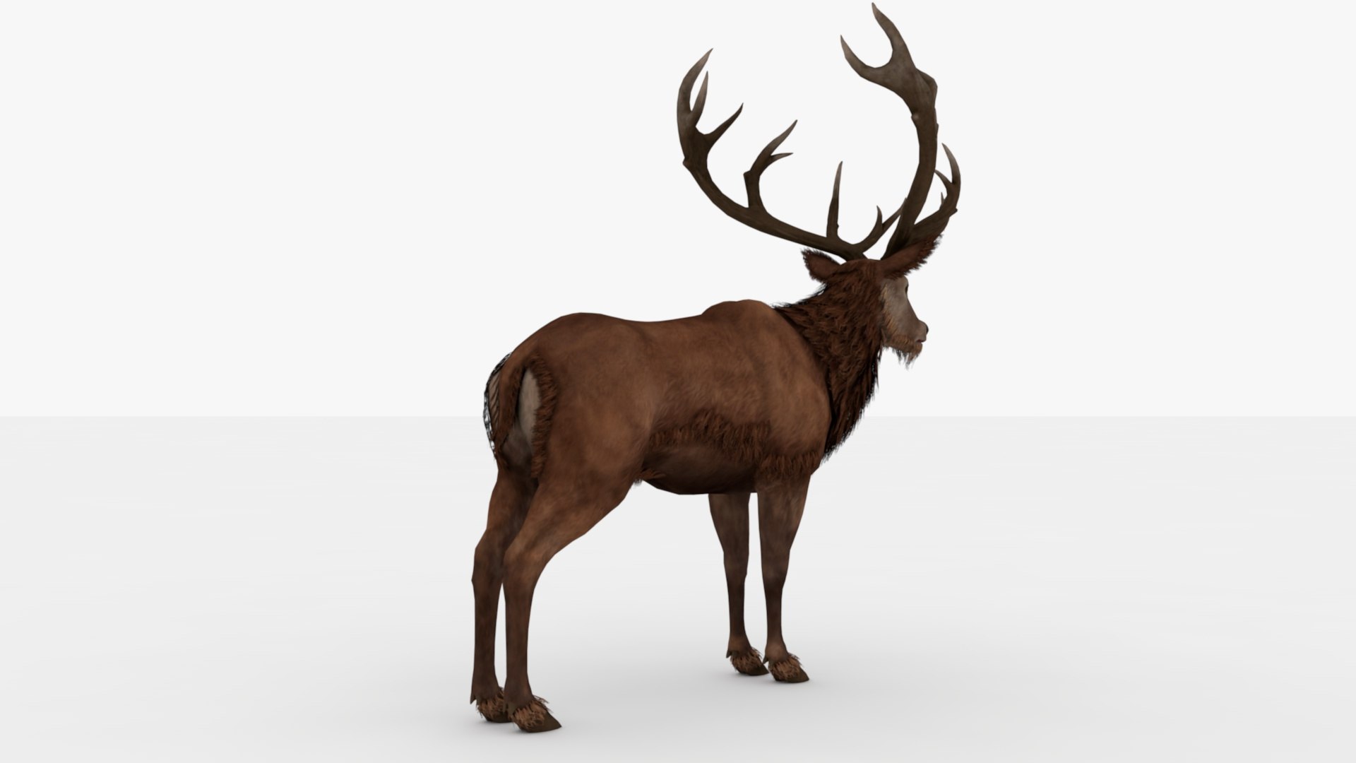 Buck 3D Model - TurboSquid 2348756
