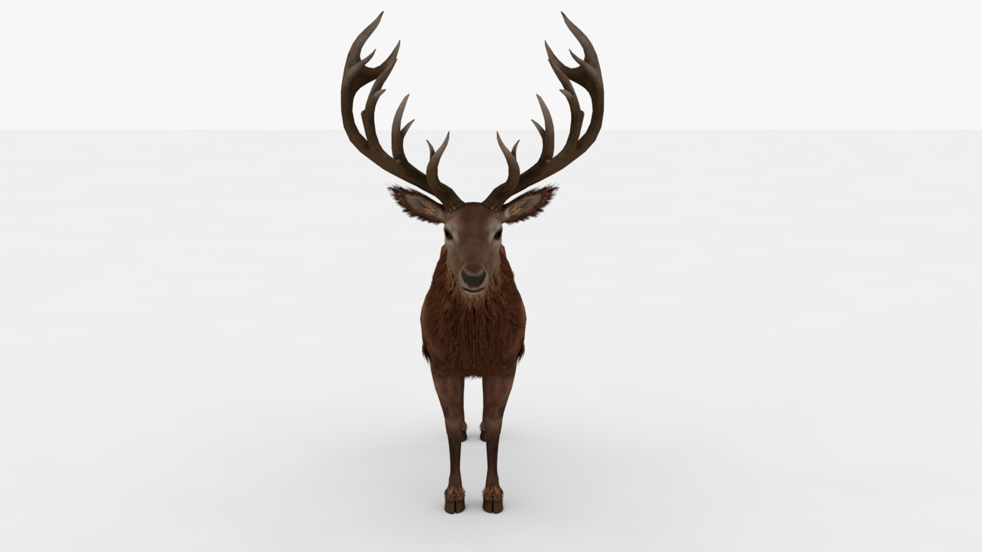 Buck 3D Model - TurboSquid 2348756
