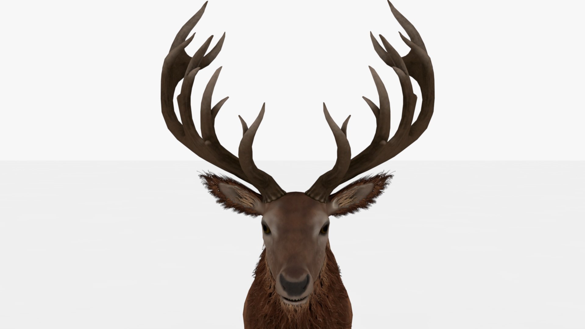 Buck 3D Model - TurboSquid 2348756