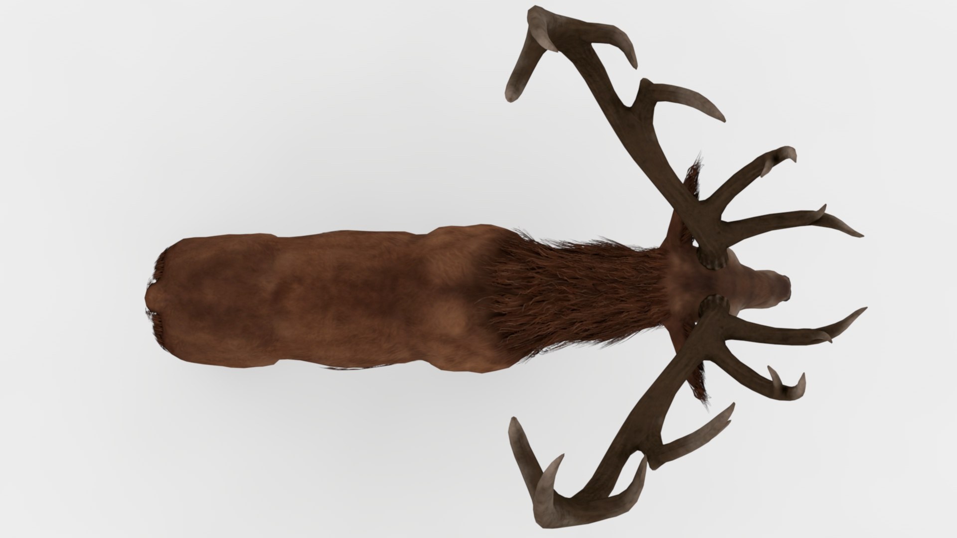 Buck 3D Model - TurboSquid 2348756