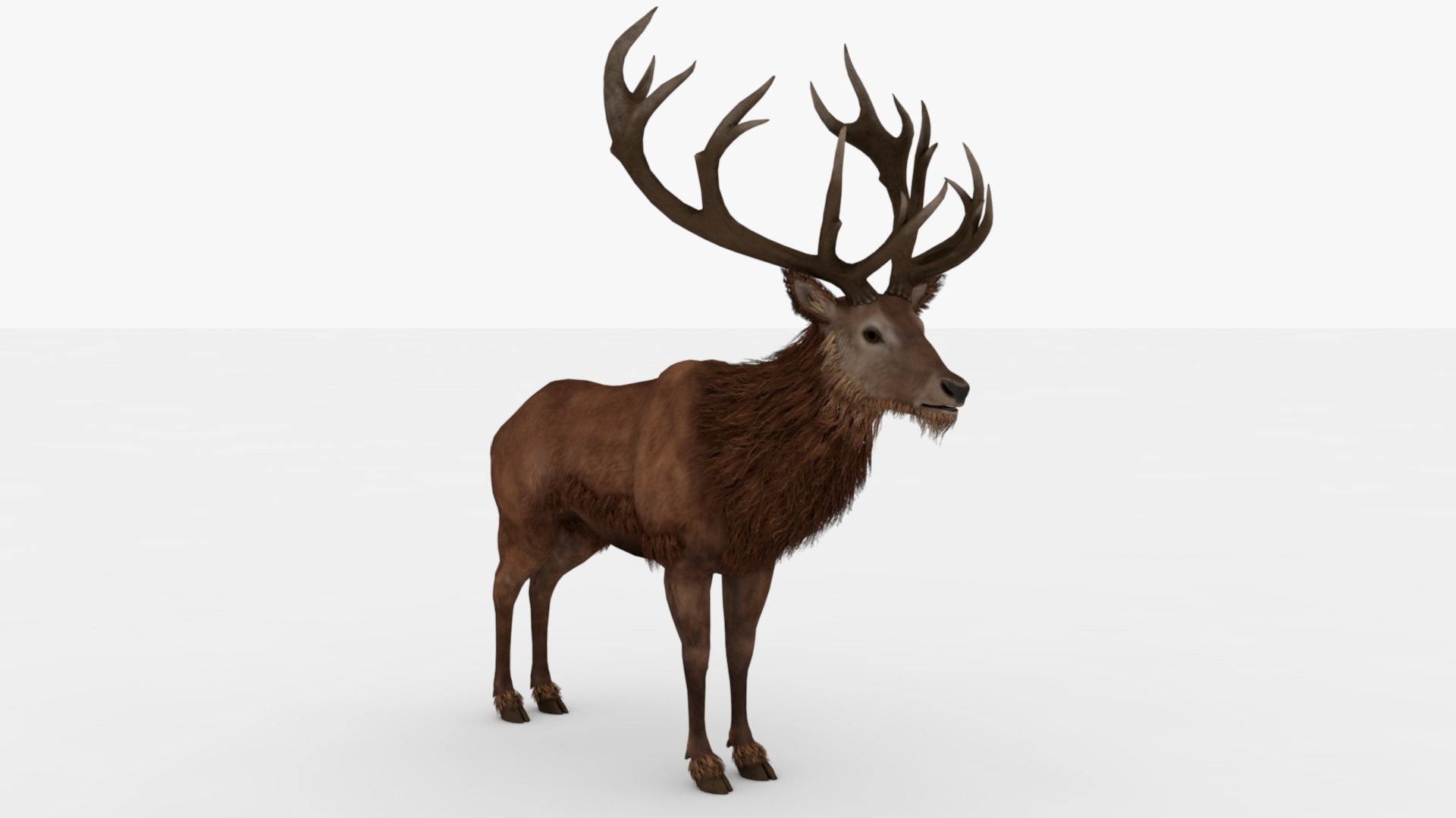 Buck 3D Model - TurboSquid 2348756