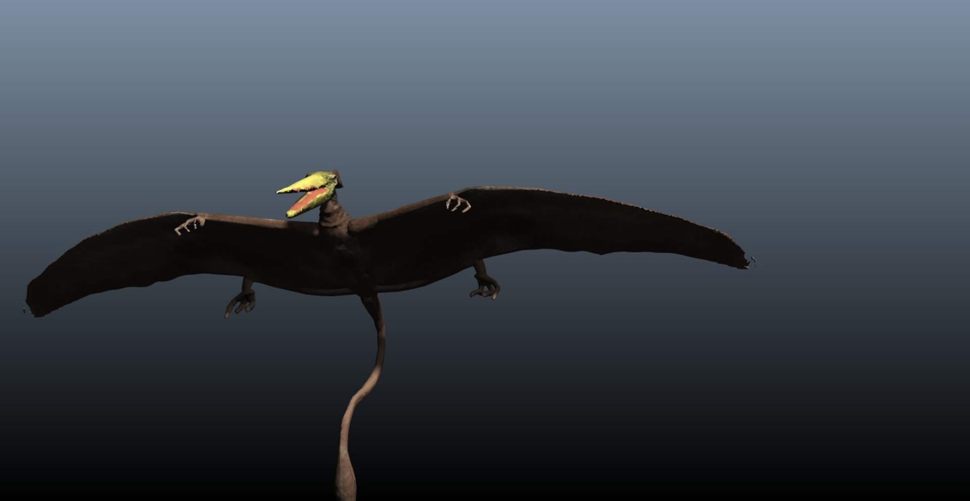 Pterosaur 3d Model
