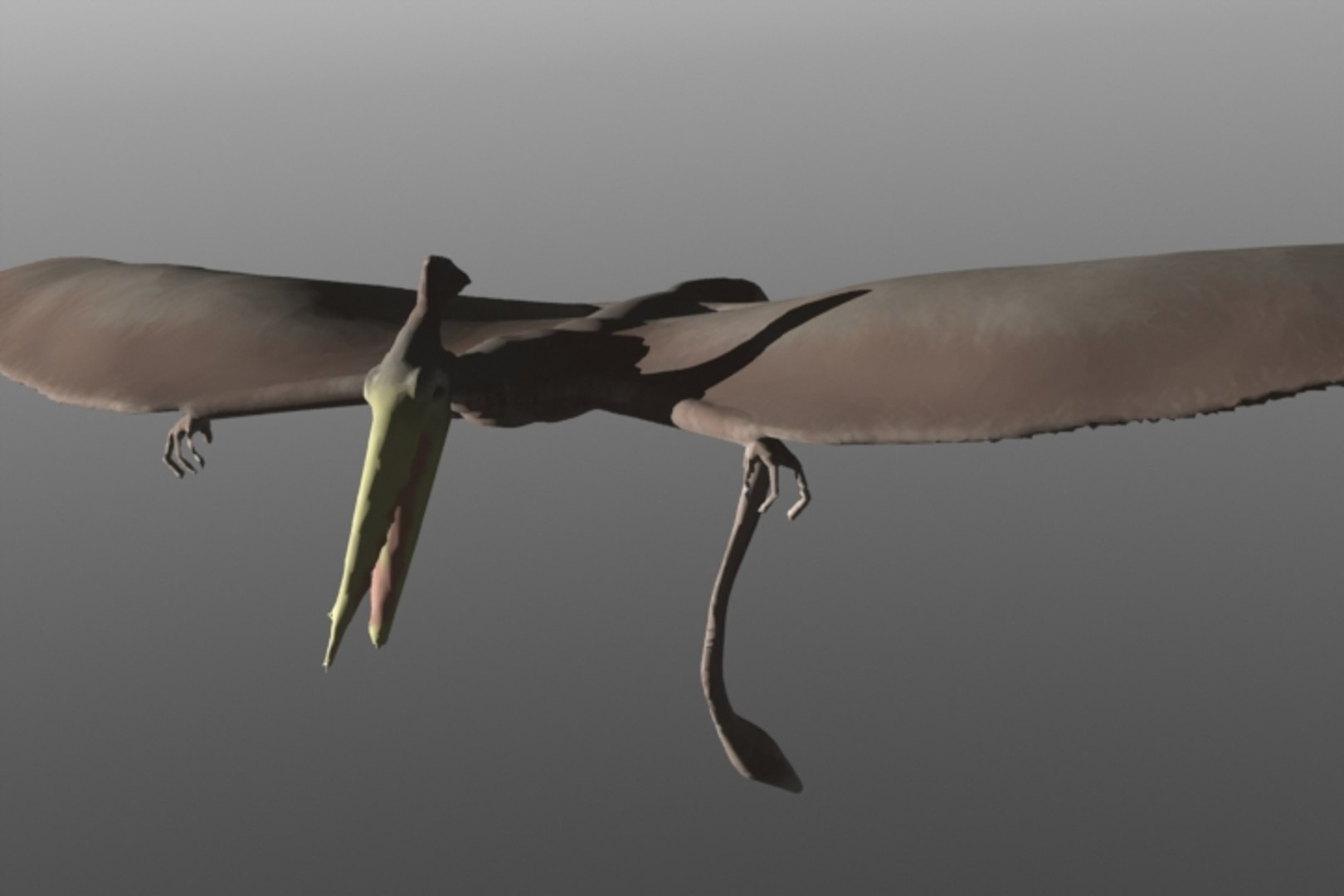 Pterosaur 3d Model