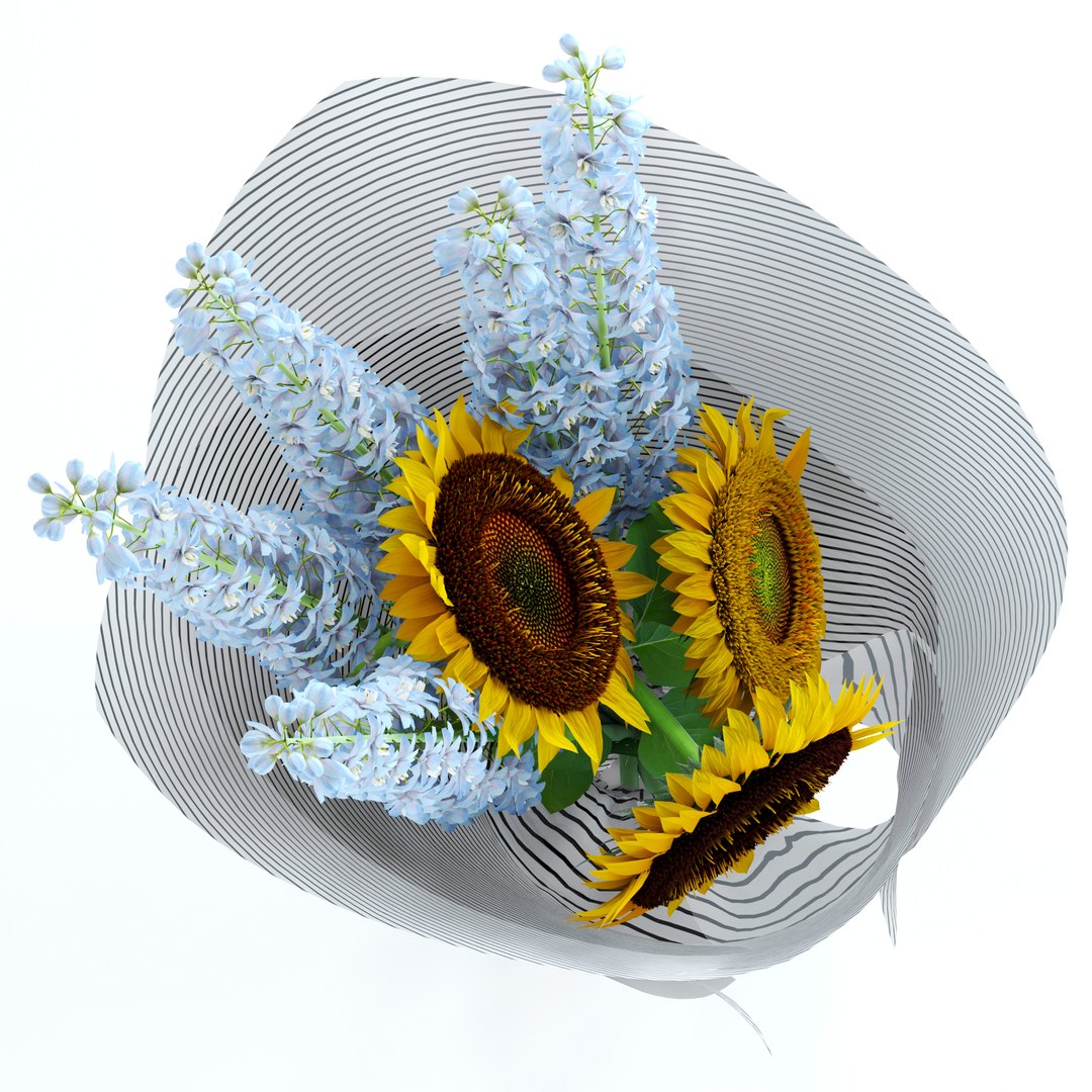 Realistic flowers delphinium sunflowers model - TurboSquid 1226449