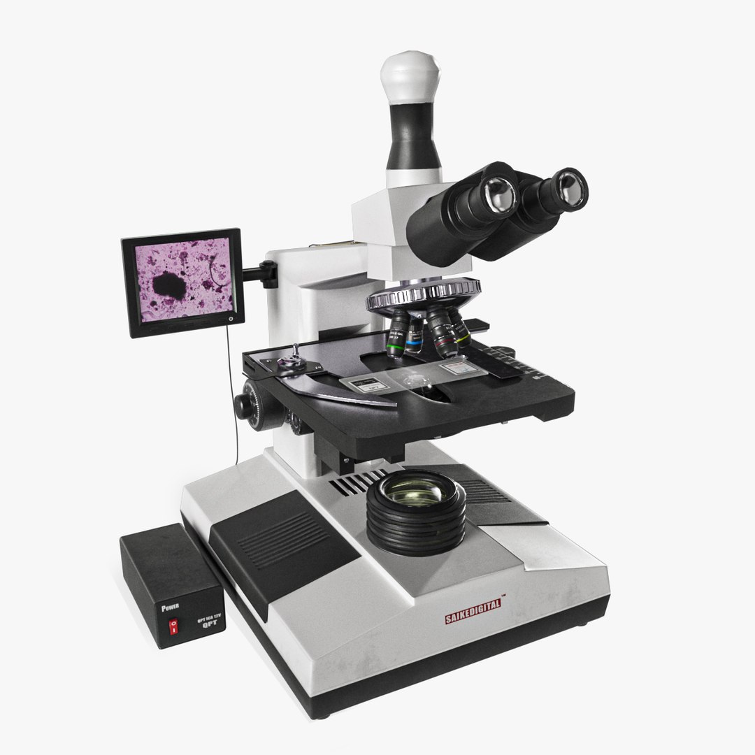Laboratory Microscope Low Poly 3D - TurboSquid 1807546
