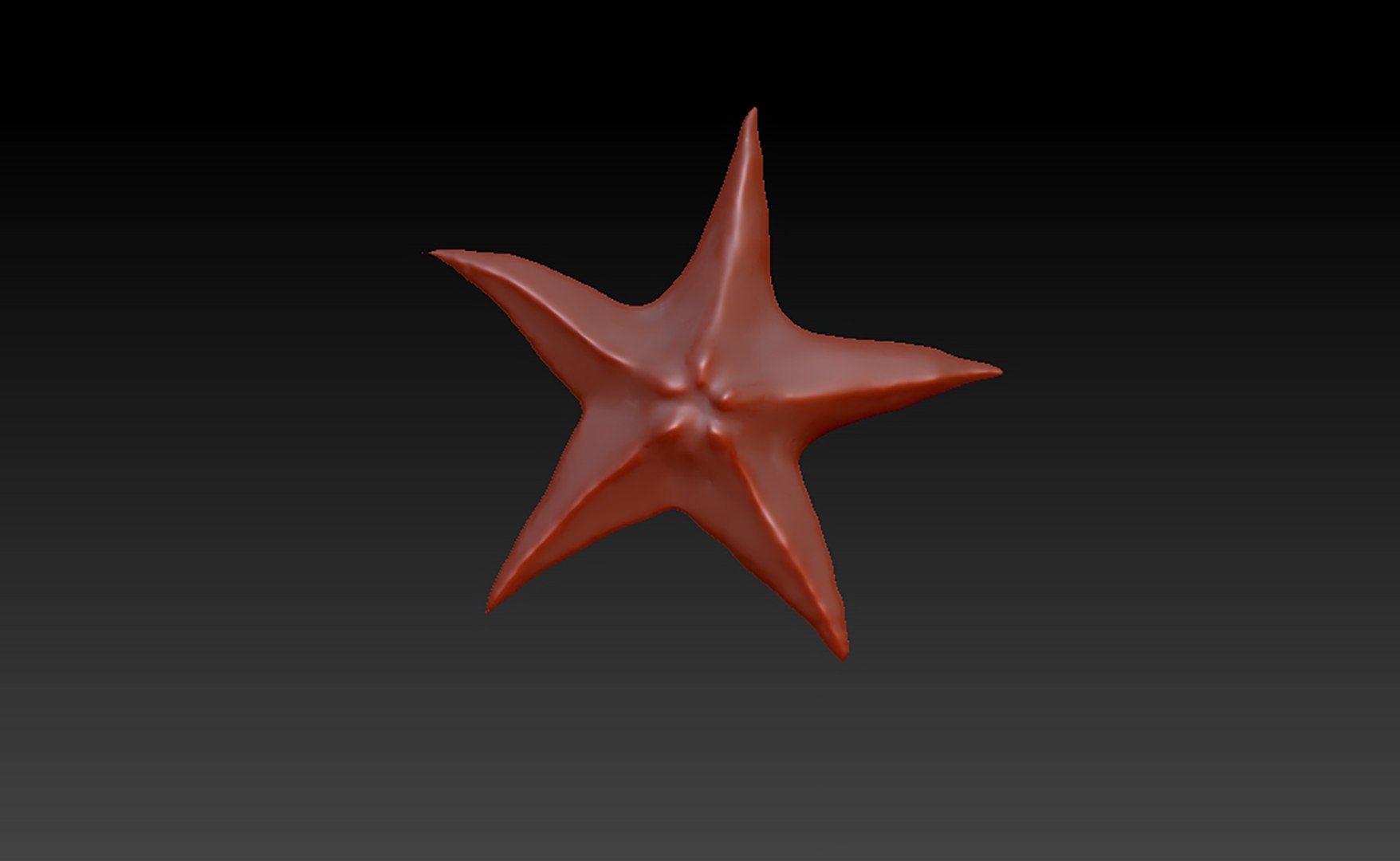 3D starfish 01 model - TurboSquid 1858686