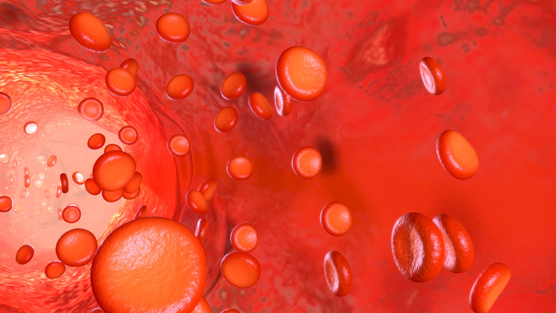 3d Blood Flow