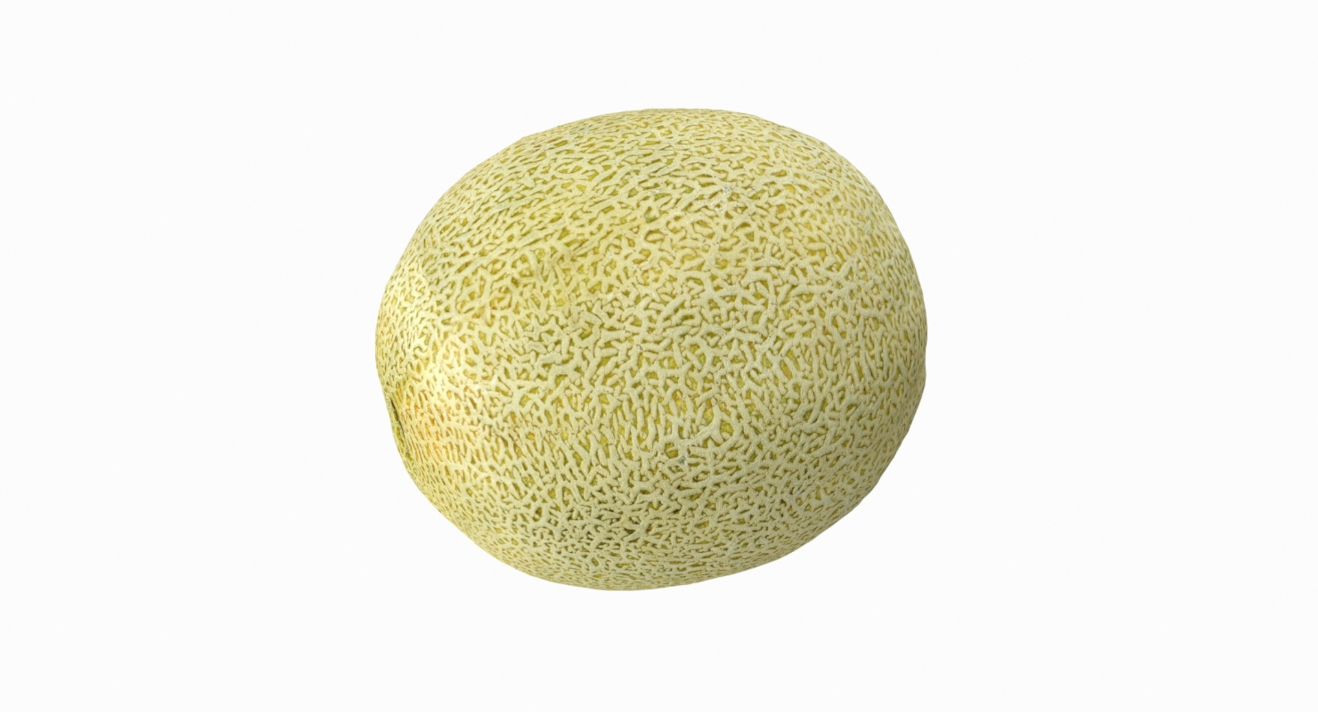 Honeydew Melon 3D - TurboSquid 1220672