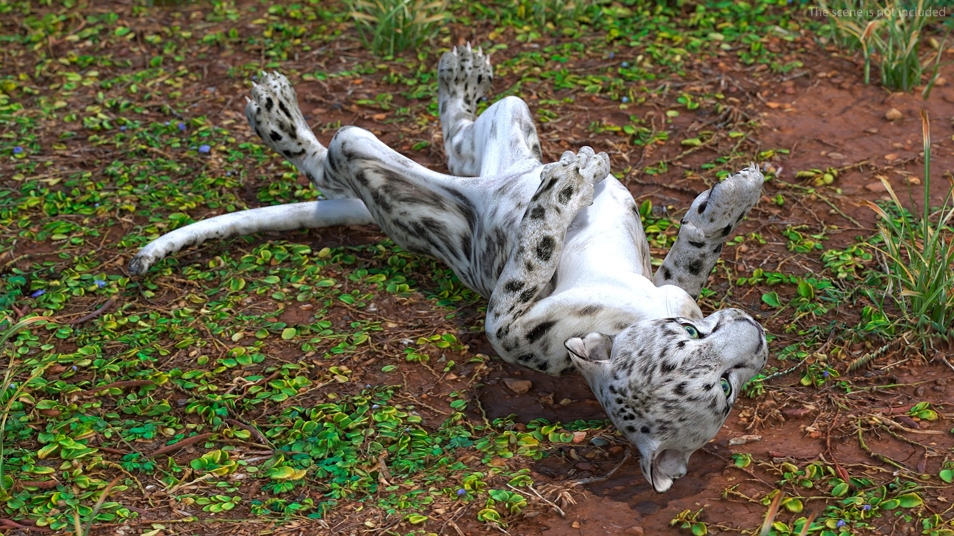 Snow Leopard Cub In Lying Playful Pose For 3D Print 3D Model ...