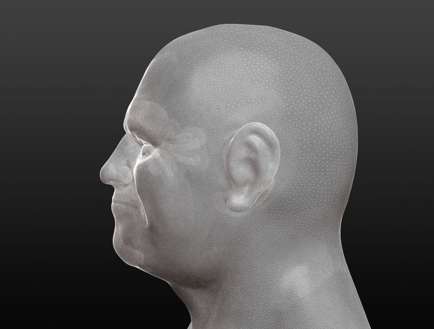 3D Male Head Base Mesh Model - TurboSquid 1625887