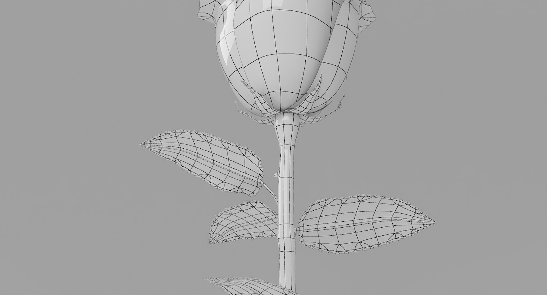 3D Rose Model - TurboSquid 1403778