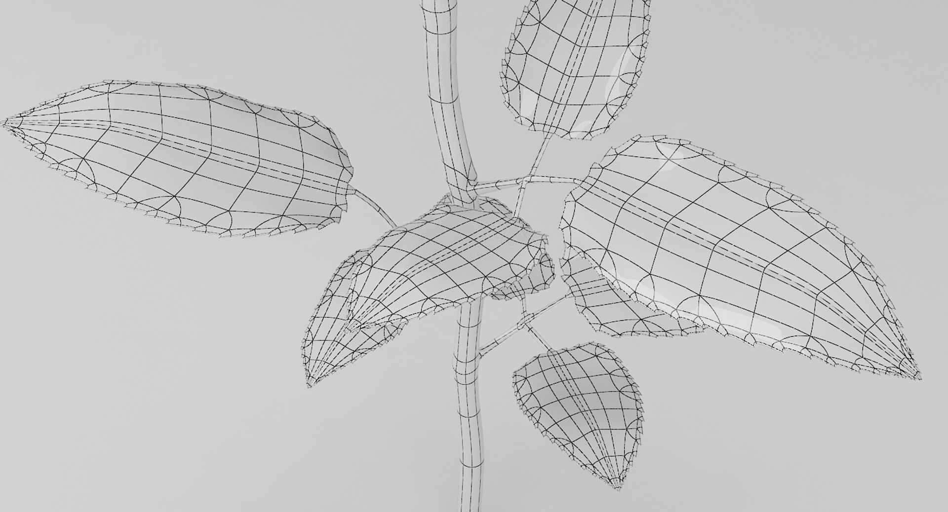 3D Rose Model - TurboSquid 1403778