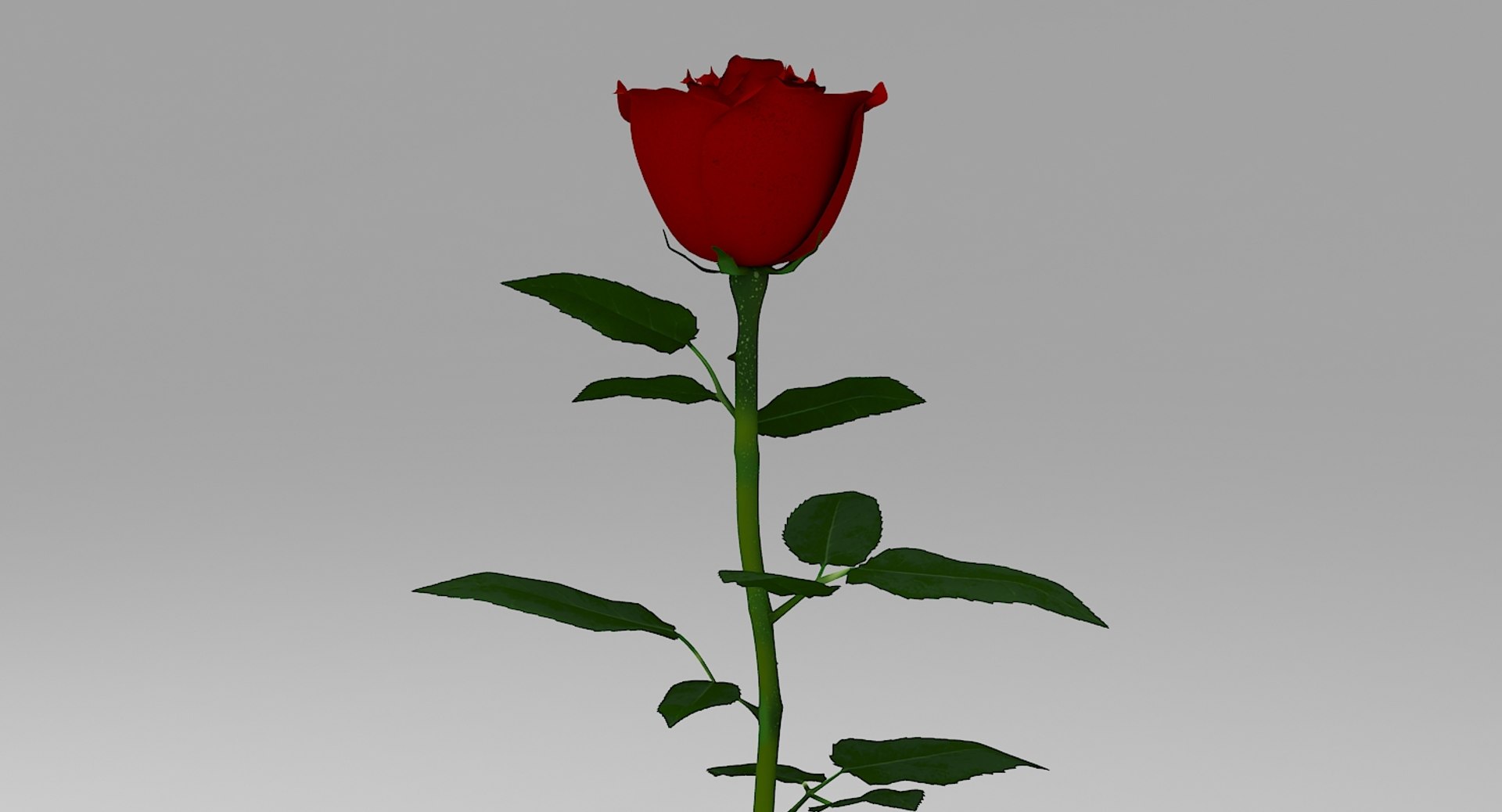 3D Rose Model - TurboSquid 1403778