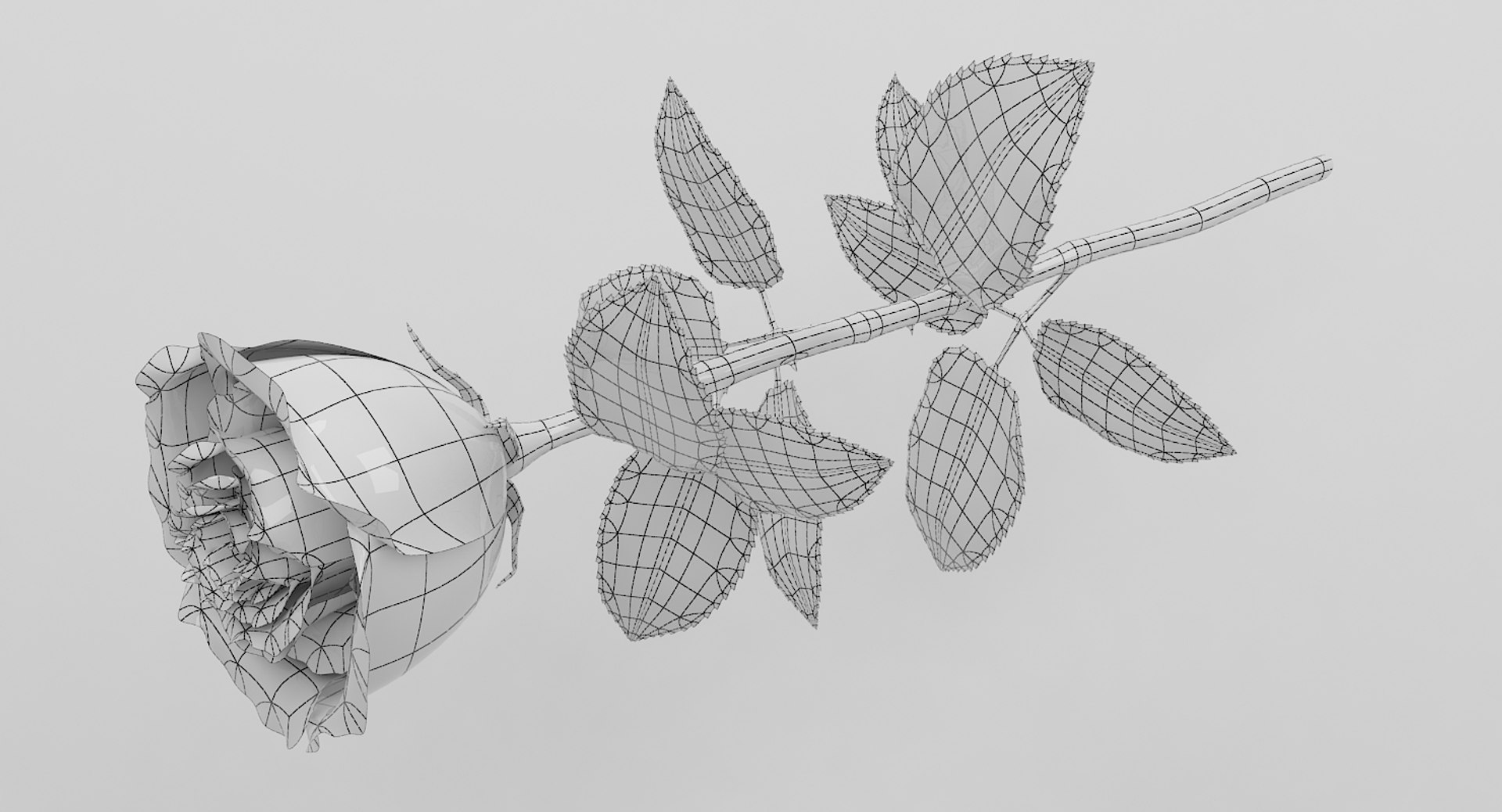 3D Rose Model - TurboSquid 1403778