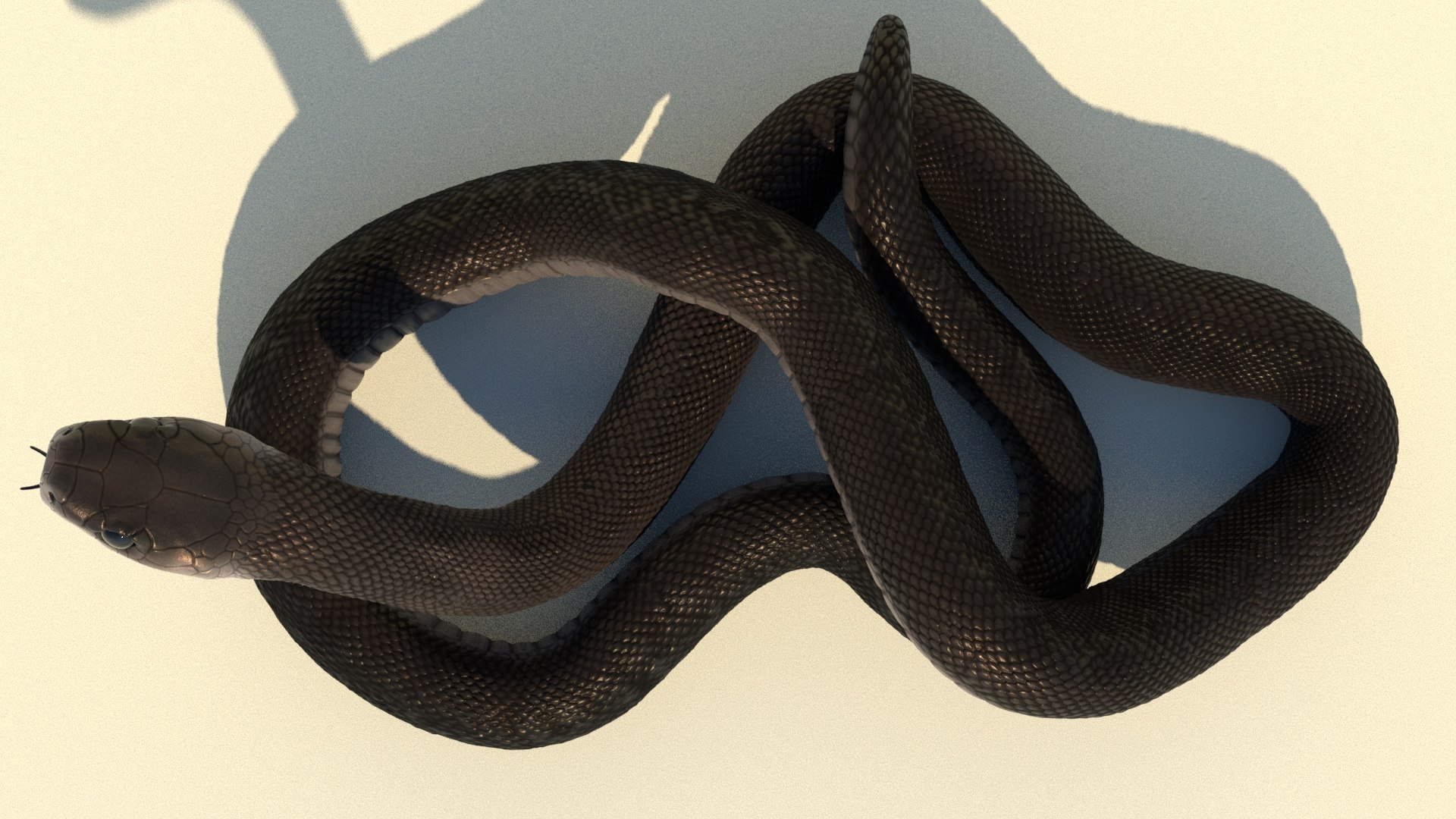 3D Black Mamba Rigged Animated - TurboSquid 1724803