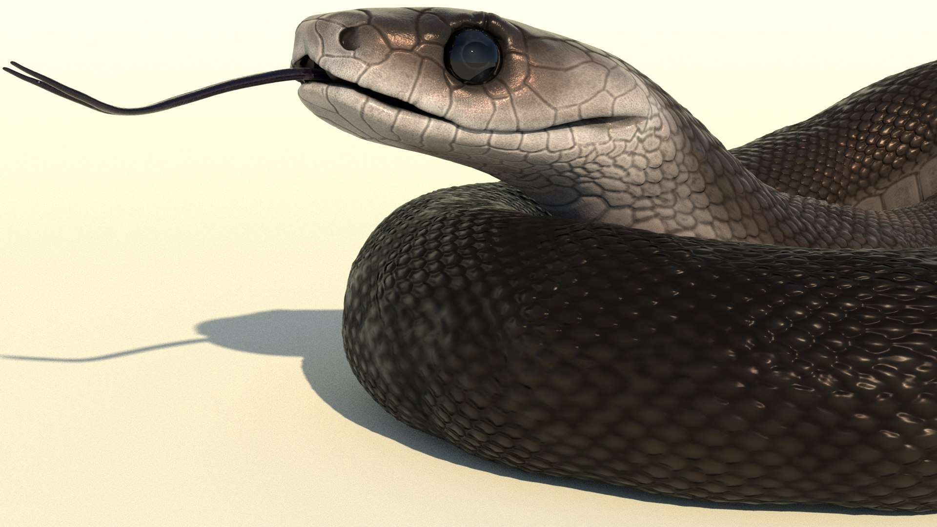 3D Black Mamba Rigged Animated - TurboSquid 1724803