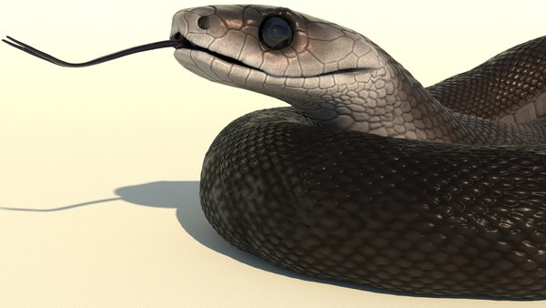 3D Black Mamba Rigged Animated - TurboSquid 1724803
