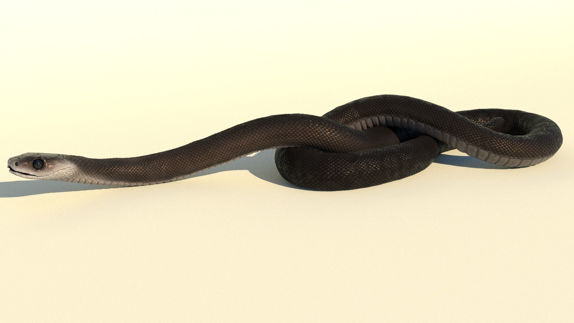 3D Black Mamba Rigged Animated - TurboSquid 1724803