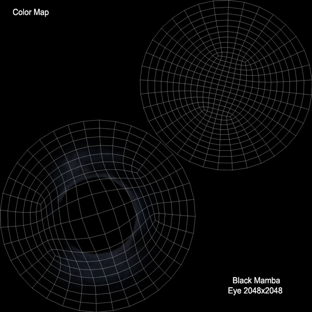 3D Black Mamba Rigged Animated - TurboSquid 1724803