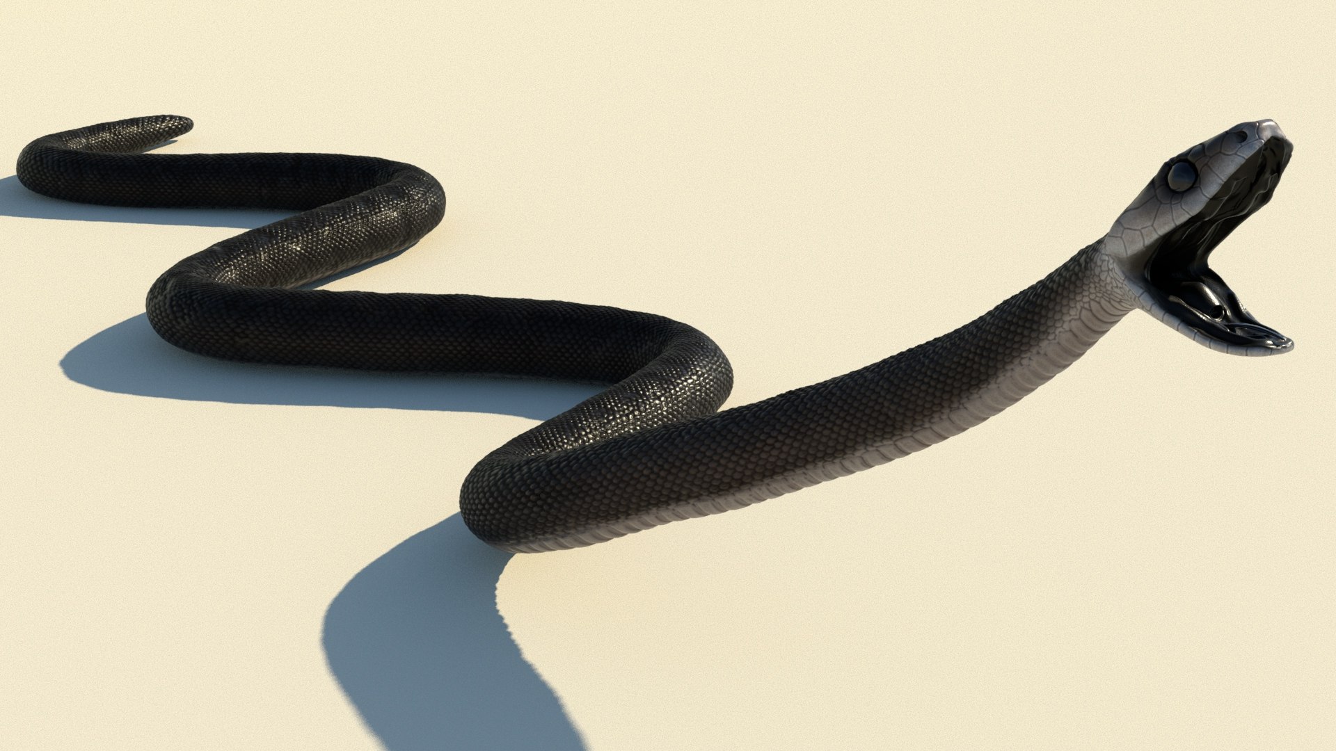 3D Black Mamba Rigged Animated - TurboSquid 1724803