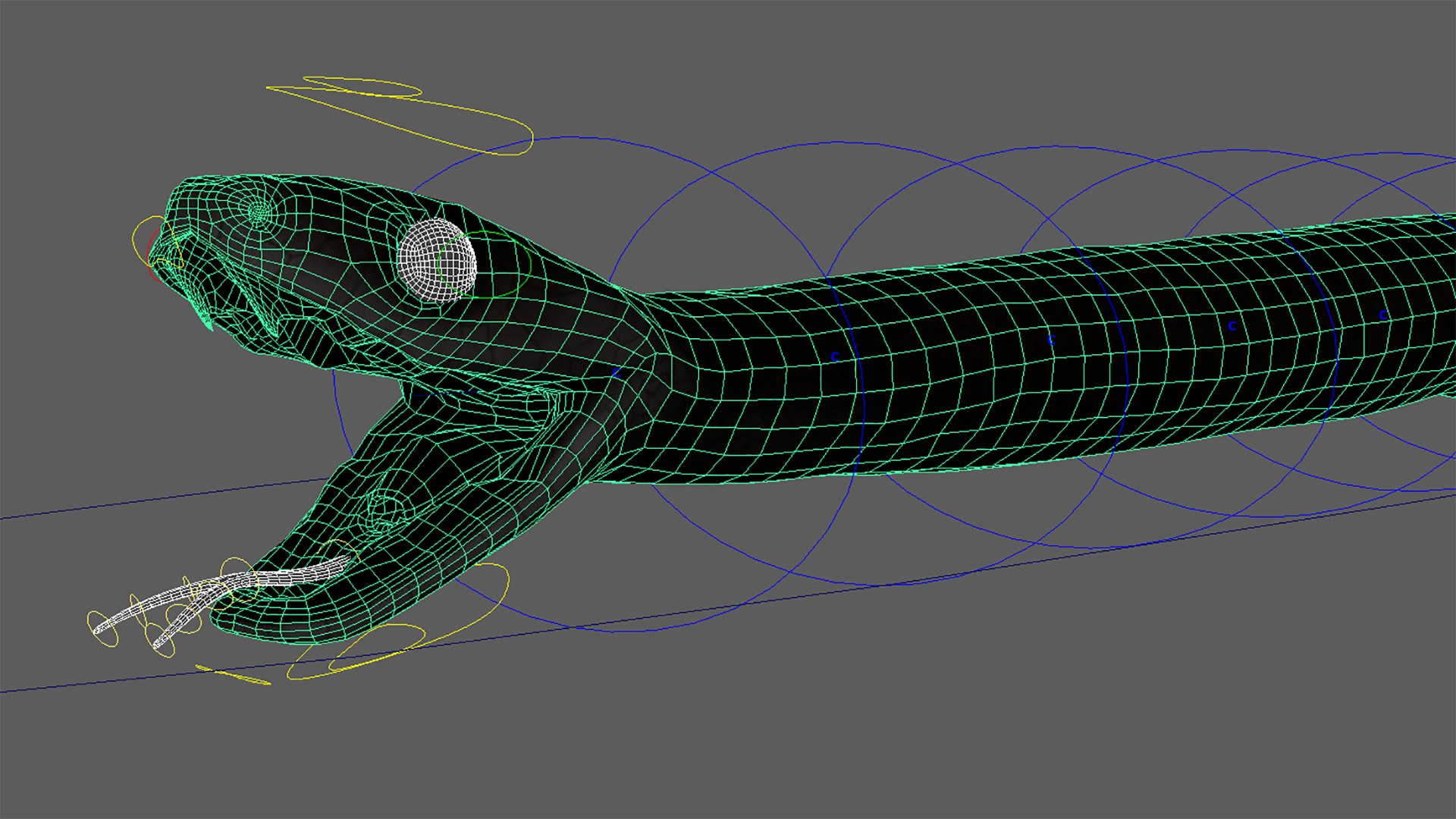 3D Black Mamba Rigged Animated - TurboSquid 1724803