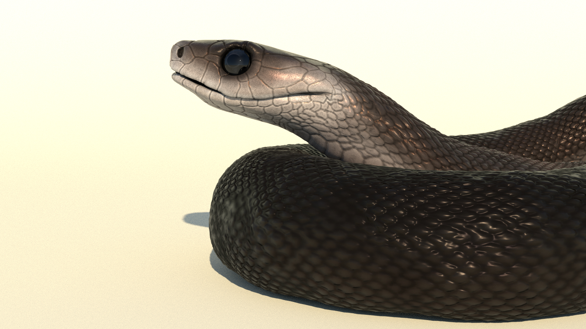 3D Black Mamba Rigged Animated - TurboSquid 1724803
