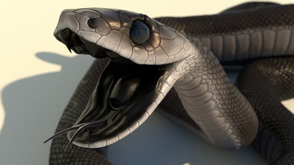 3D Black Mamba Rigged Animated - TurboSquid 1724803