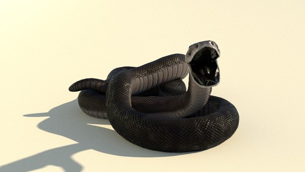 3D Black Mamba Rigged Animated - TurboSquid 1724803