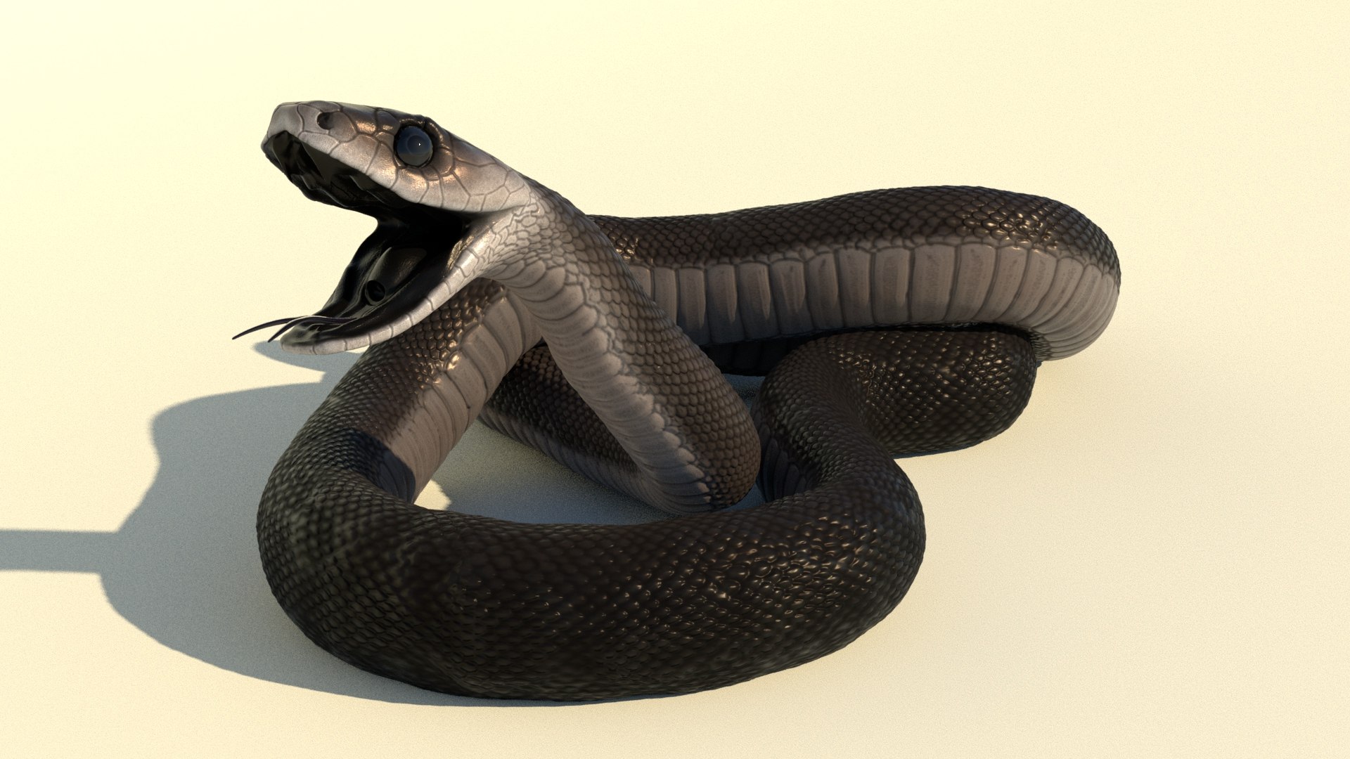 3D Black Mamba Rigged Animated - TurboSquid 1724803