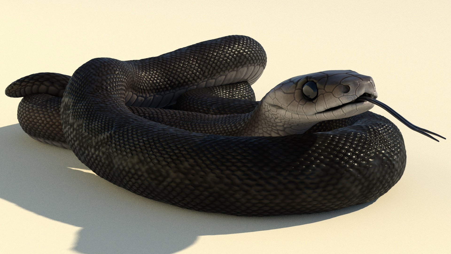 3D Black Mamba Rigged Animated - TurboSquid 1724803