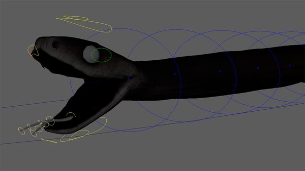 3D Black Mamba Rigged Animated - TurboSquid 1724803