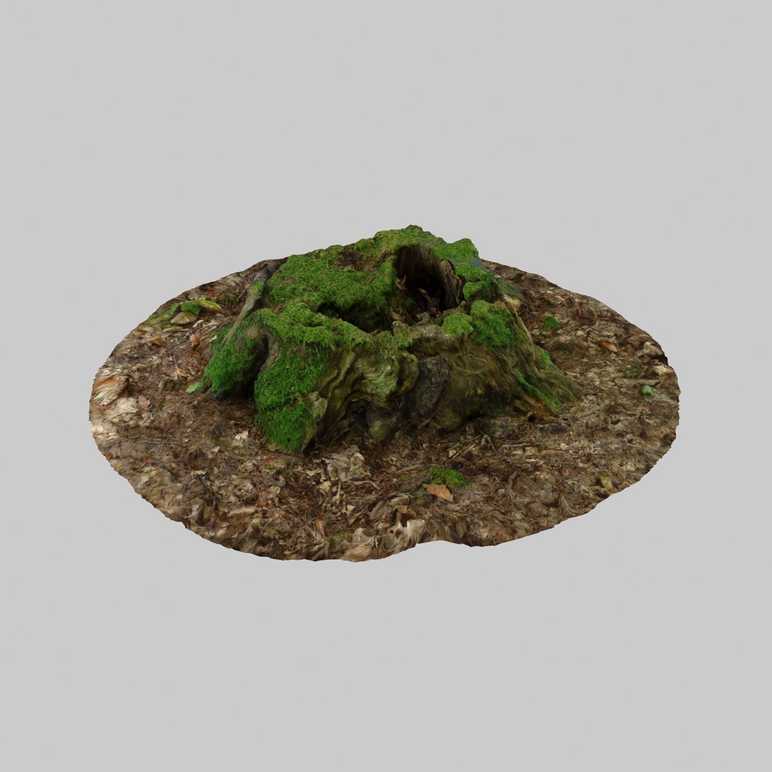 3d Photogrammetry Scan