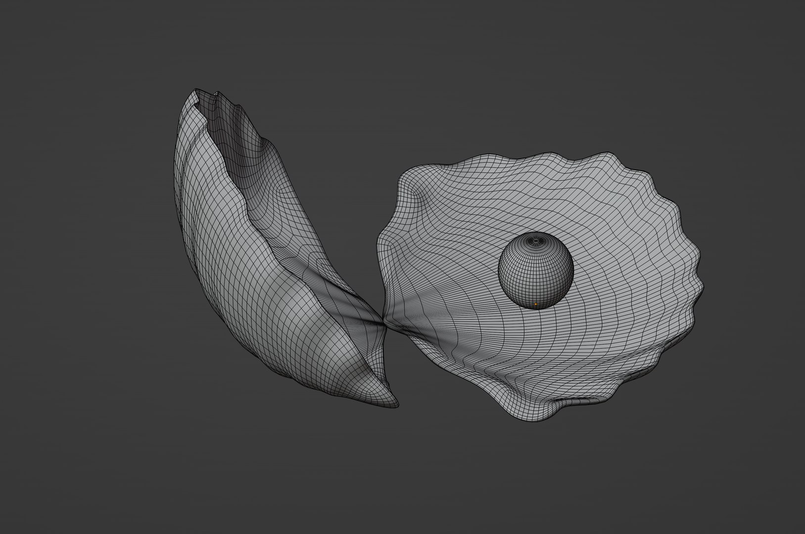 Oyster Clam 3D model - TurboSquid 2045008