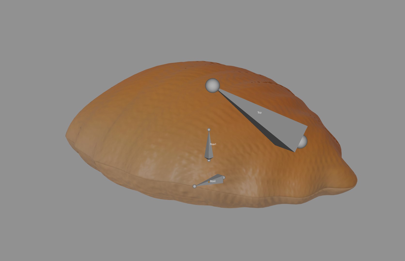 Oyster Clam 3D model - TurboSquid 2045008