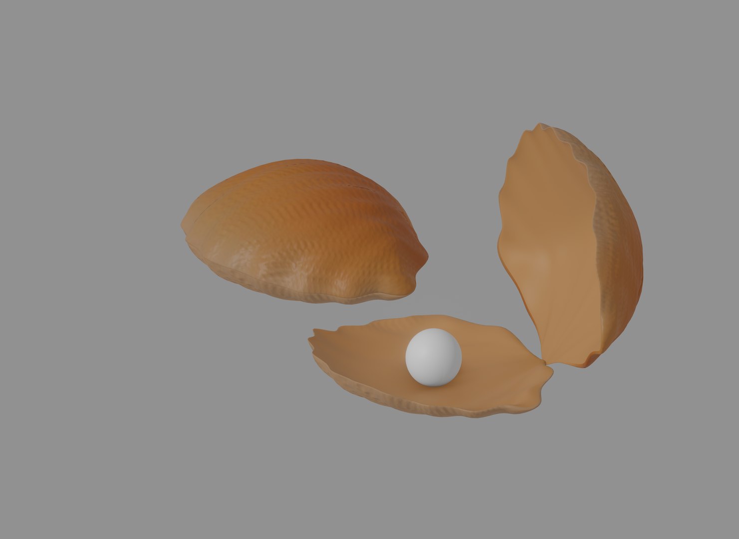 Oyster Clam 3D model - TurboSquid 2045008