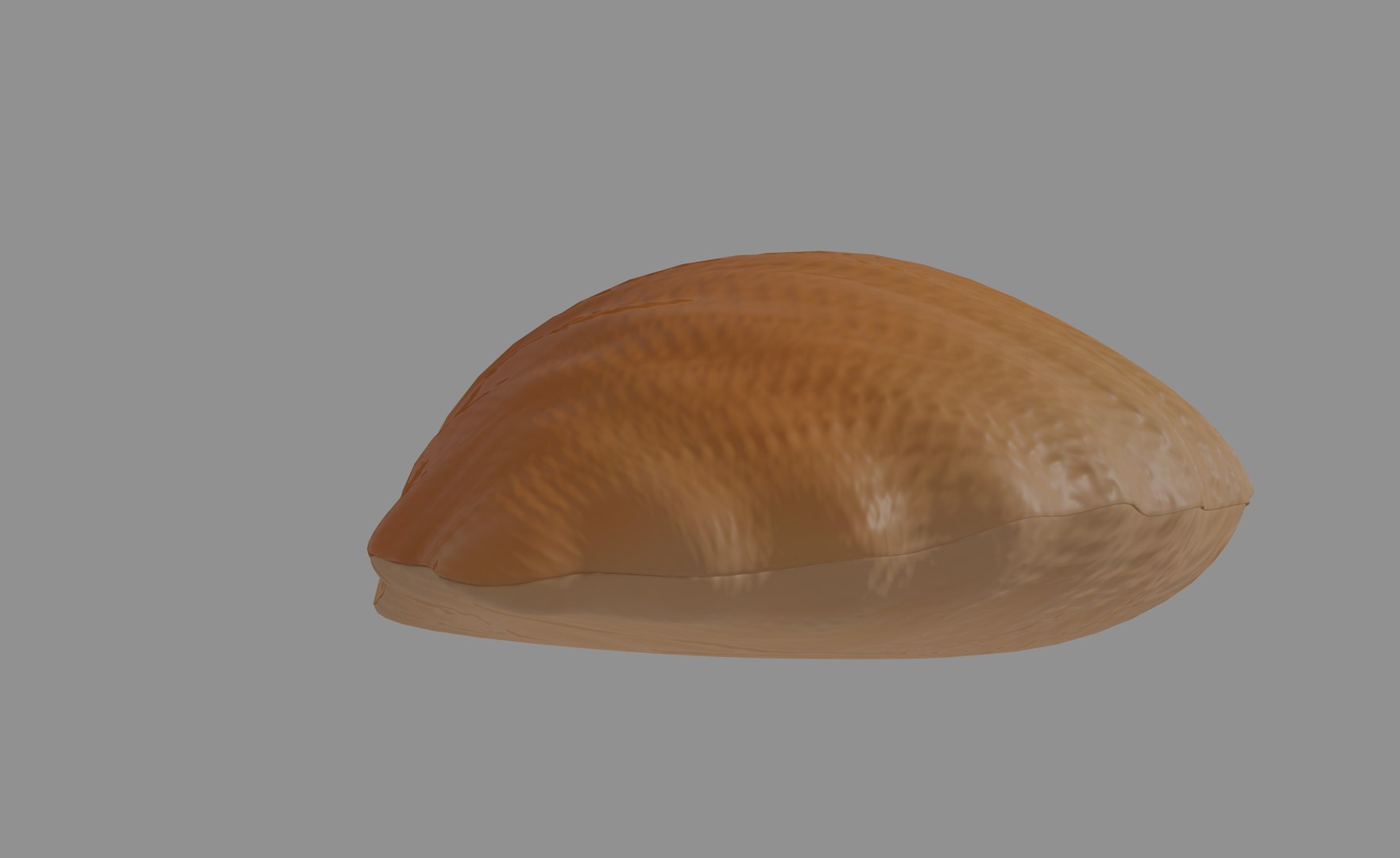 Oyster Clam 3D model - TurboSquid 2045008