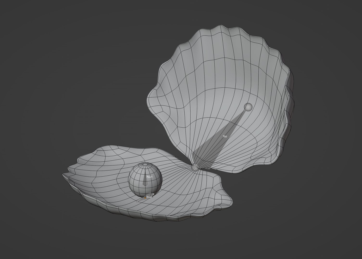 Oyster Clam 3D model - TurboSquid 2045008