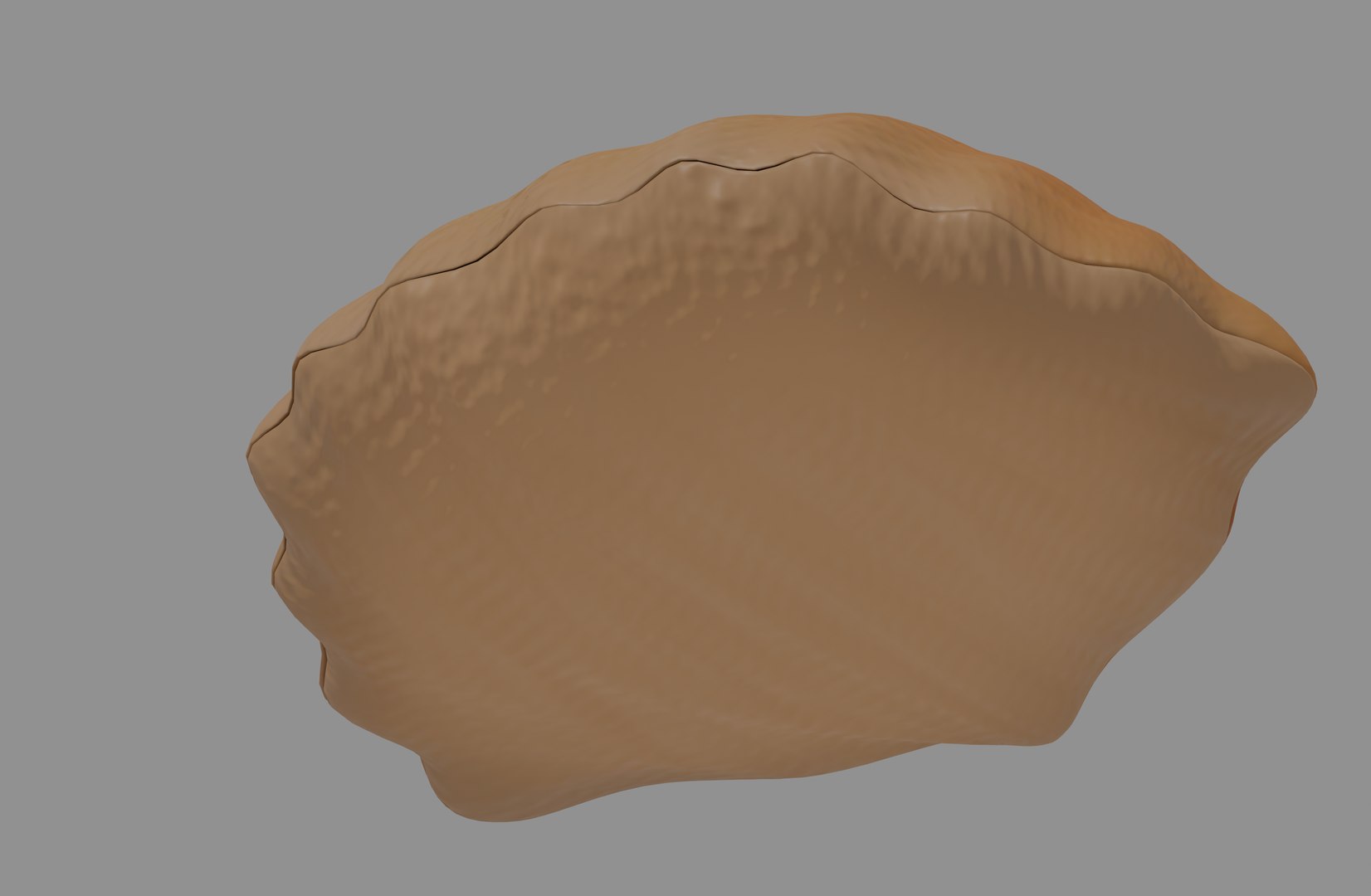Oyster Clam 3D model - TurboSquid 2045008