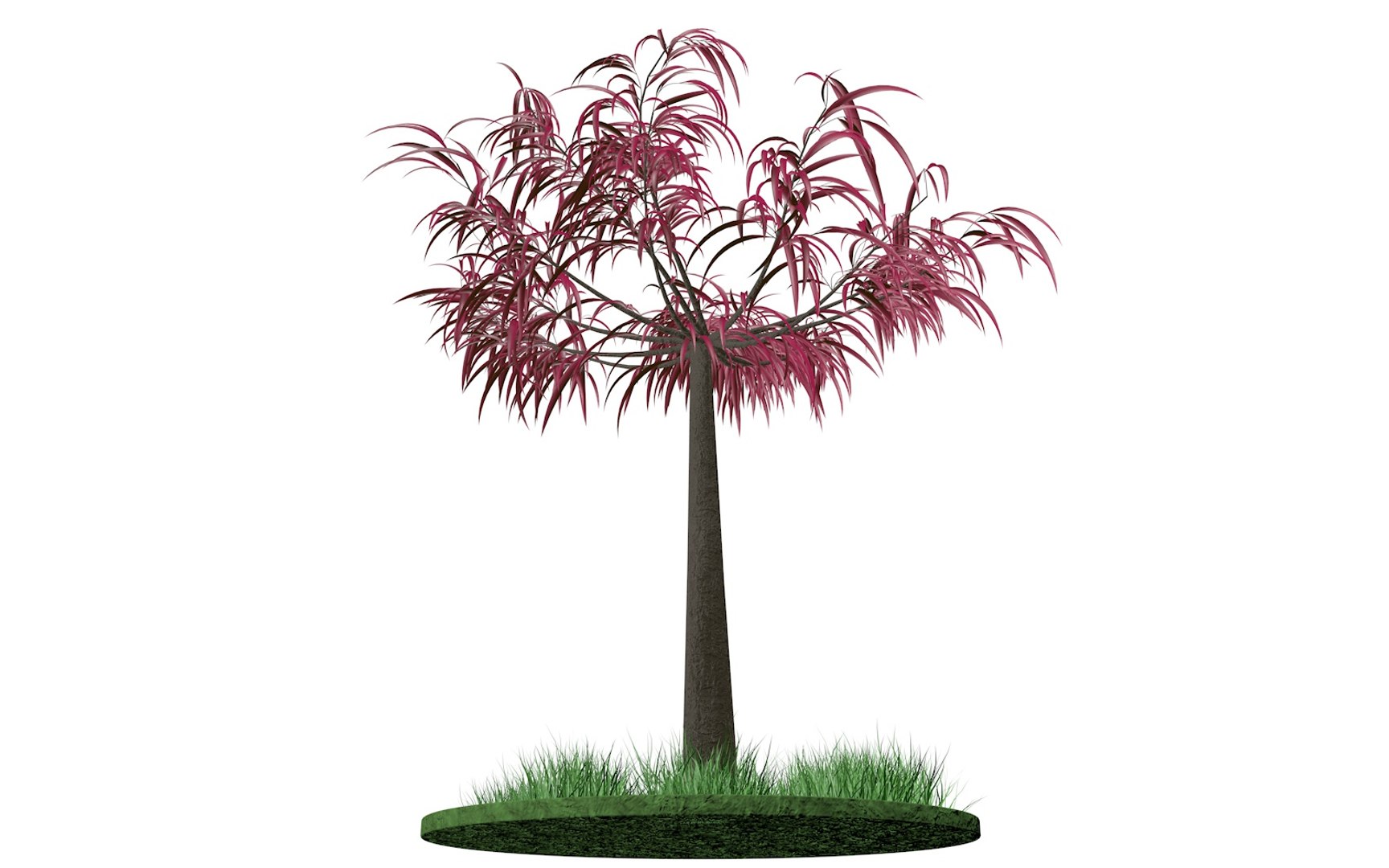 3D tree red - TurboSquid 1469565