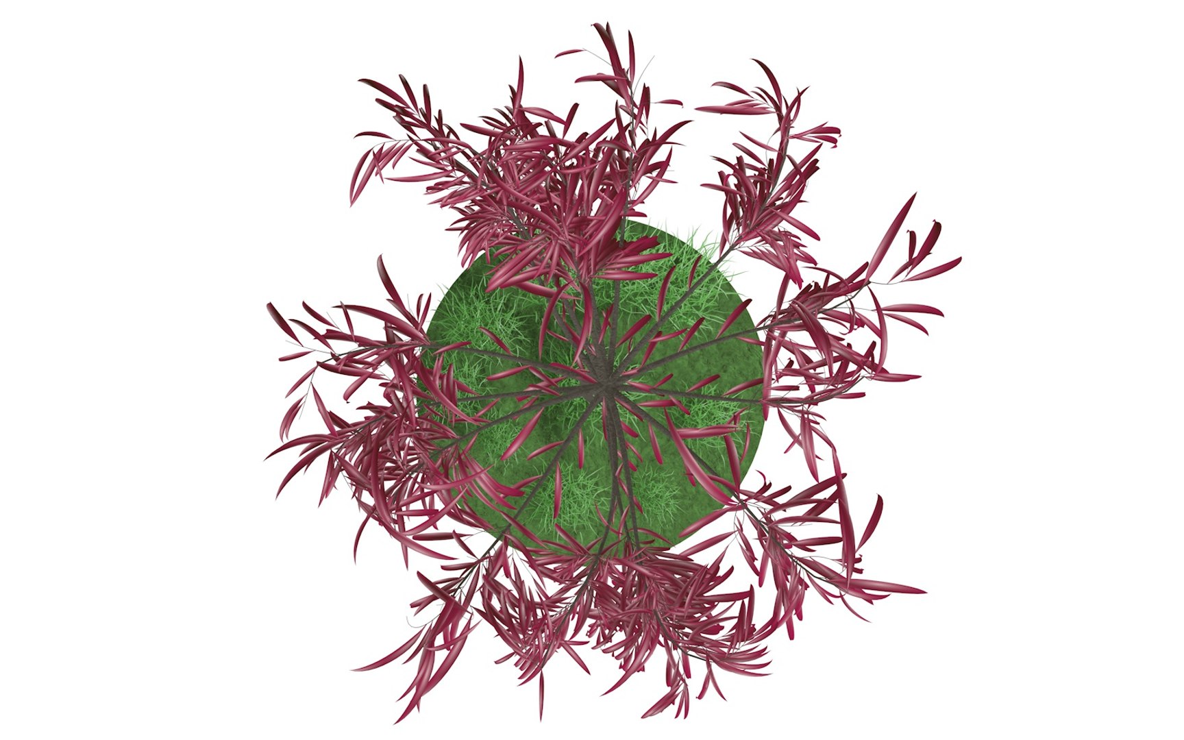 3D tree red - TurboSquid 1469565